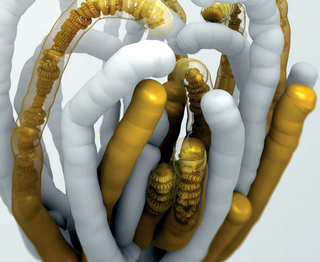Regeneratív terápiák a gyógyászatban No2 – Génterápia | Darvas Béla